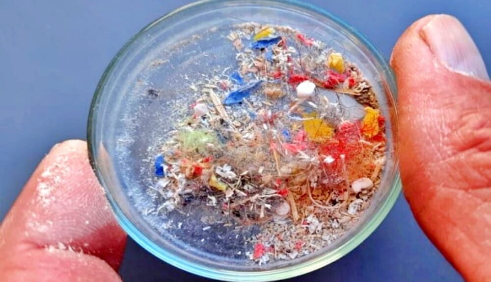 O IMPACTO DOS MICROPLÁSTICOS NA SAÚDE HUMANA - ESTUDO | JORNALONLINE